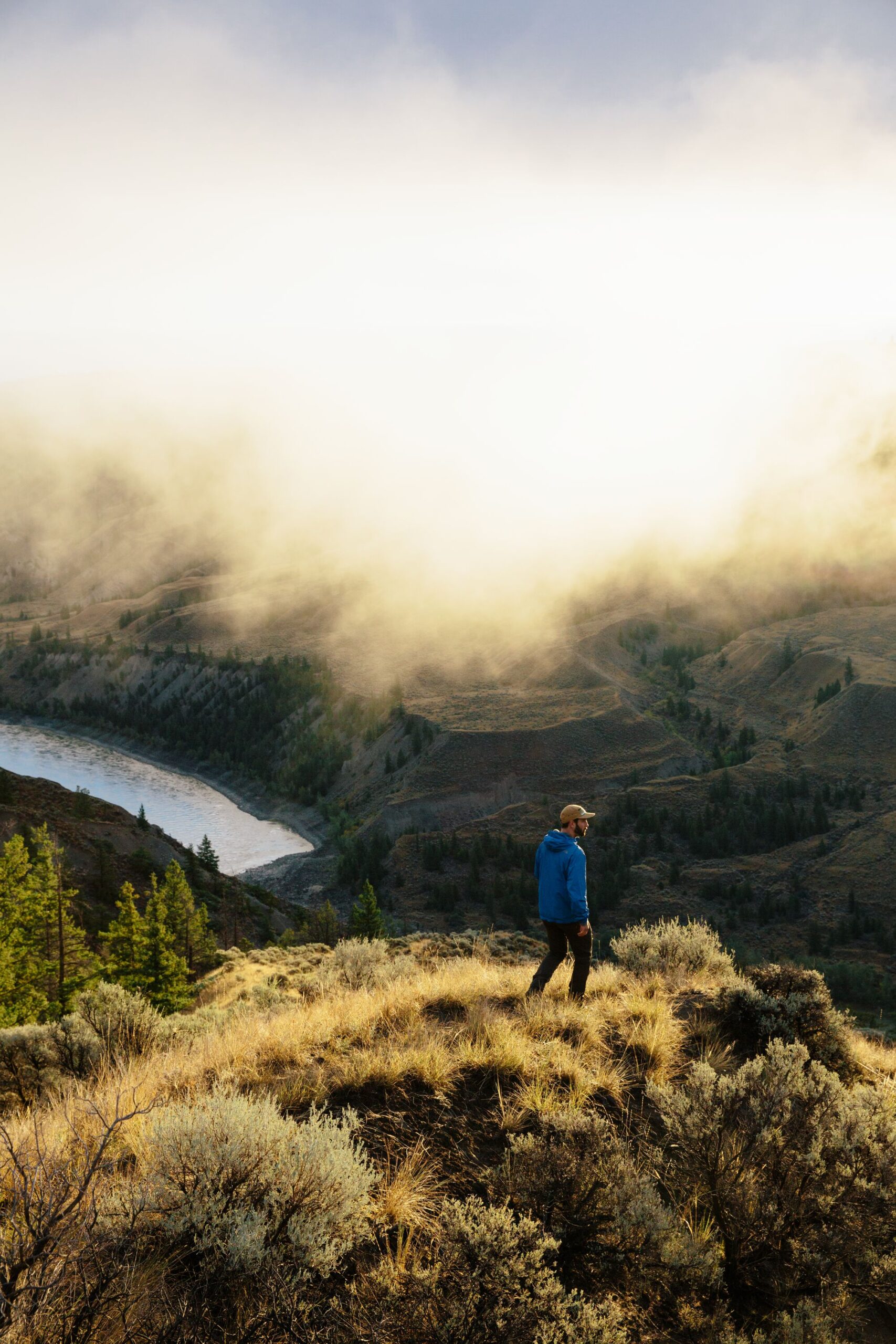 4VI Sustainable Food Panel, March 2023 - BC Tourism Sustainability Network